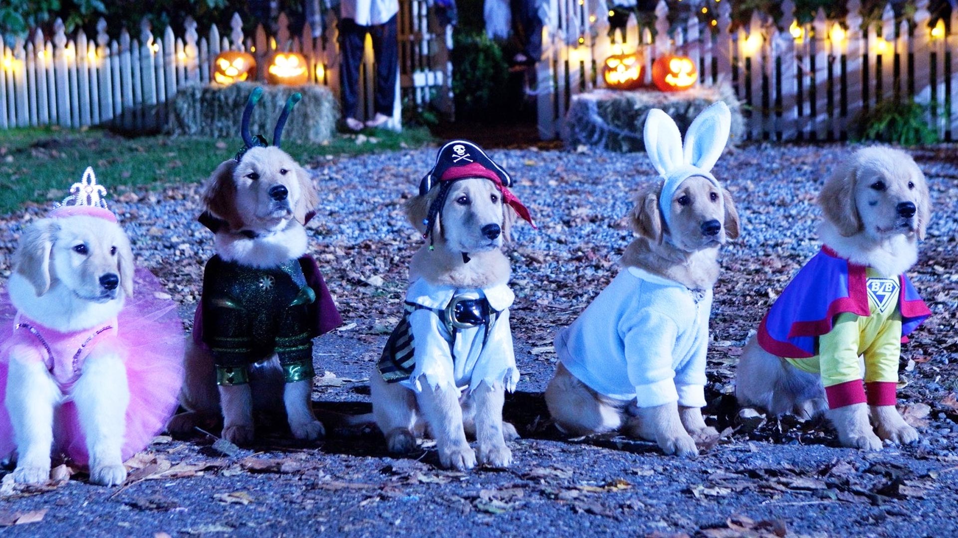 Watch Spooky Buddies | Prime Video