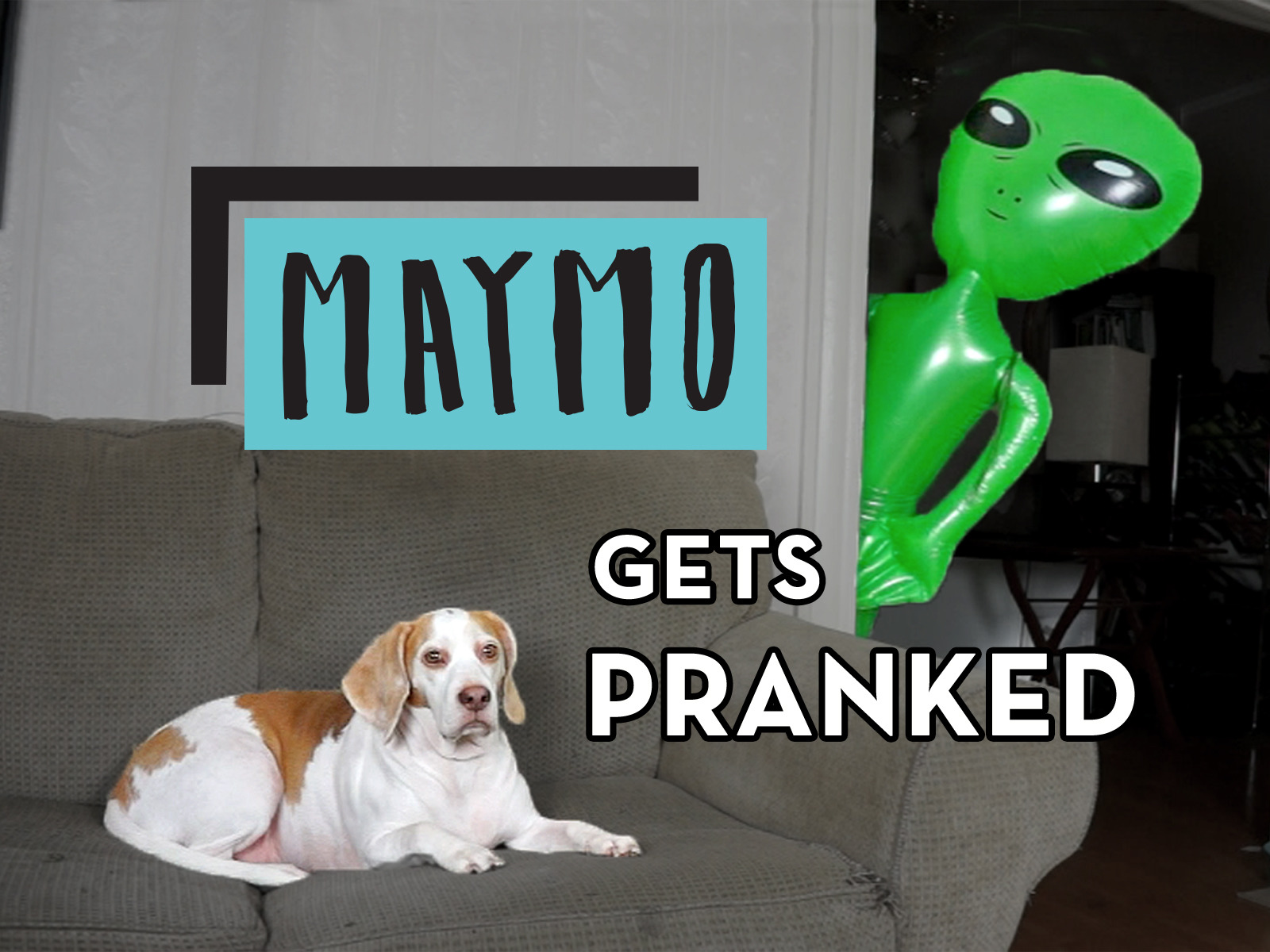 Prime Video: Maymo Gets Pranked