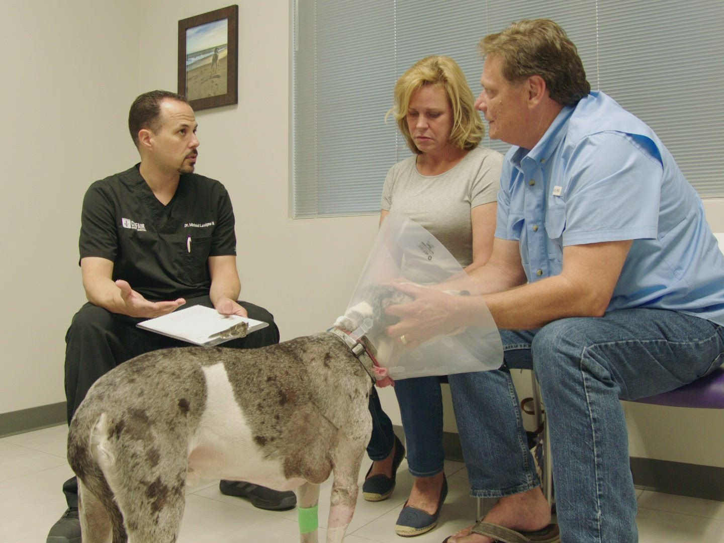 Prime Video: The Vet Life - Season 1
