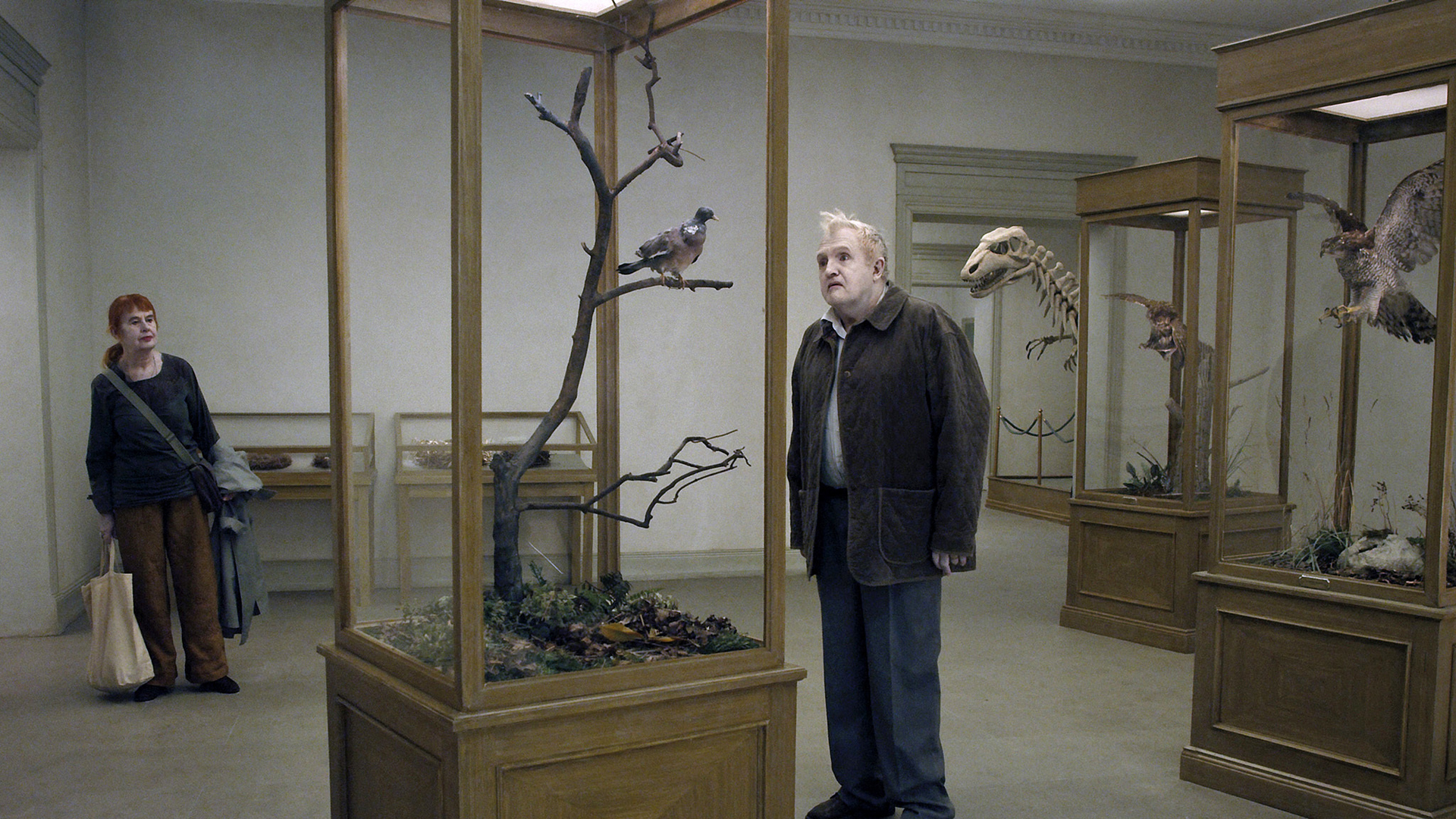 Prime Video: A Pigeon Sat on a Branch Reflecting on Existence