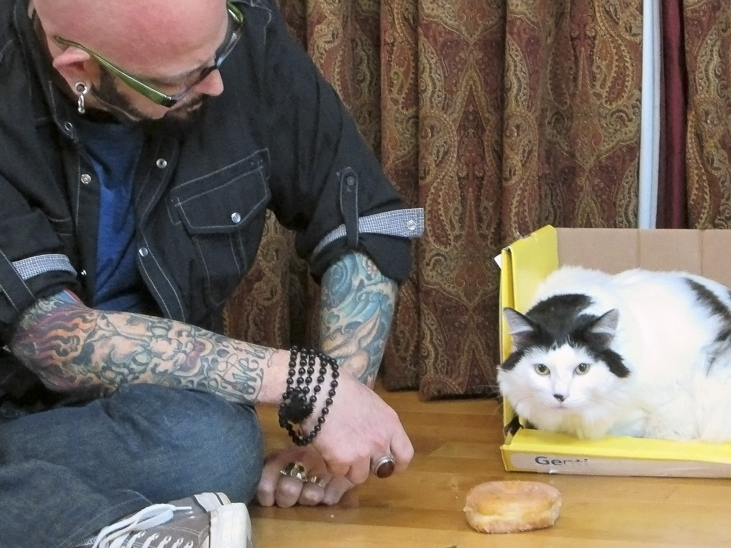 Prime Video: My Cat From Hell - Season 6