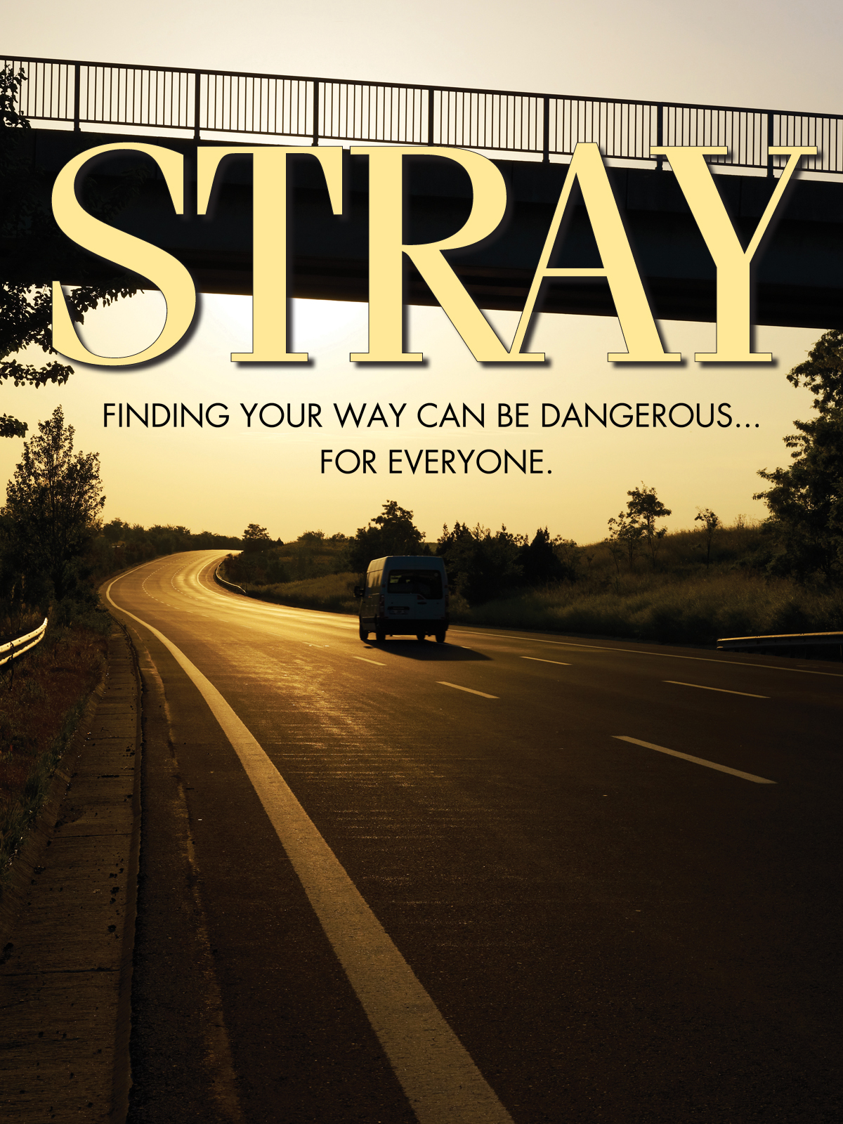 Prime Video: Stray