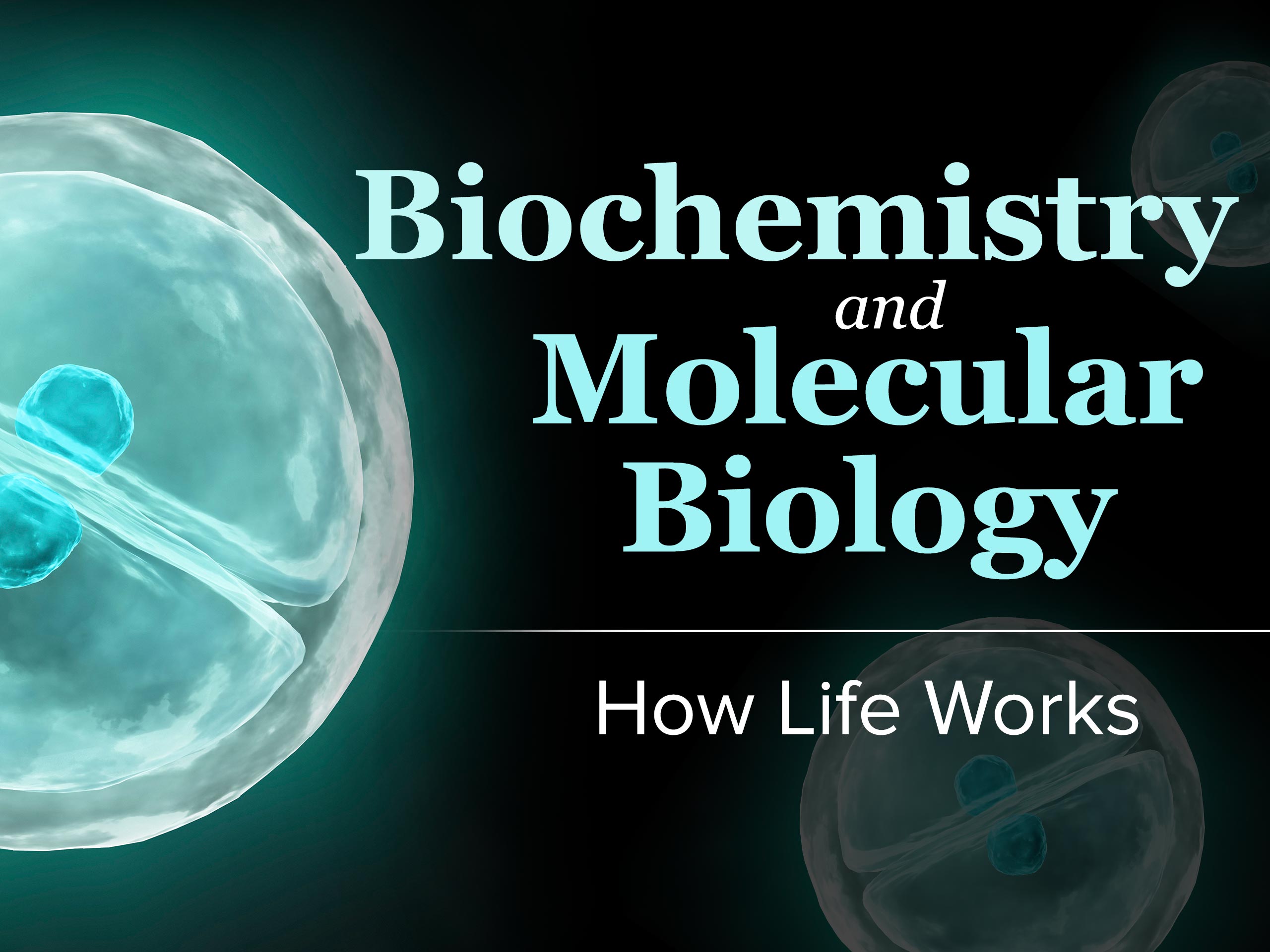 Prime Video: Biochemistry and Molecular Biology: How Life Works