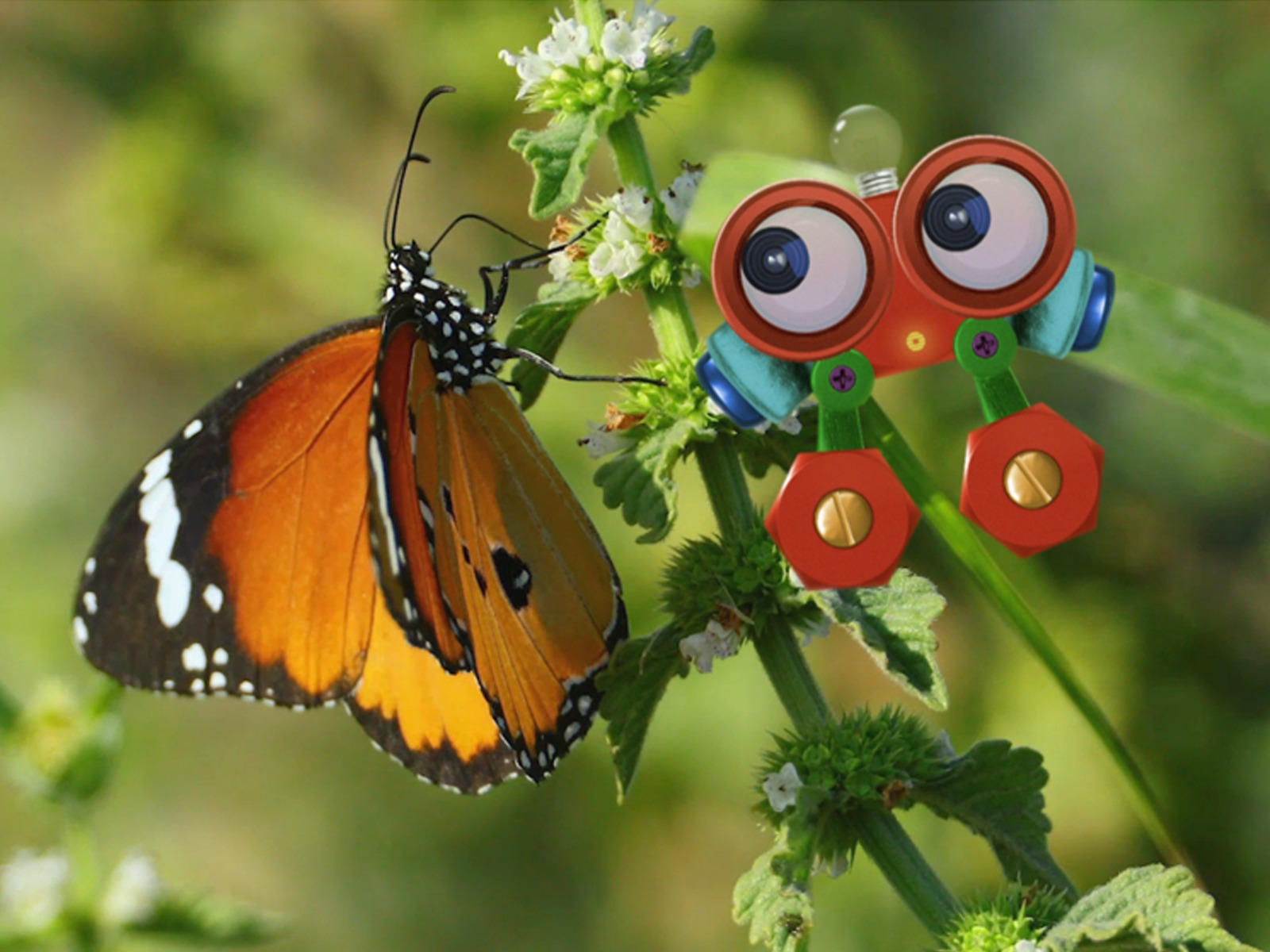 Prime Video: Mis Amigos Animales con Robi