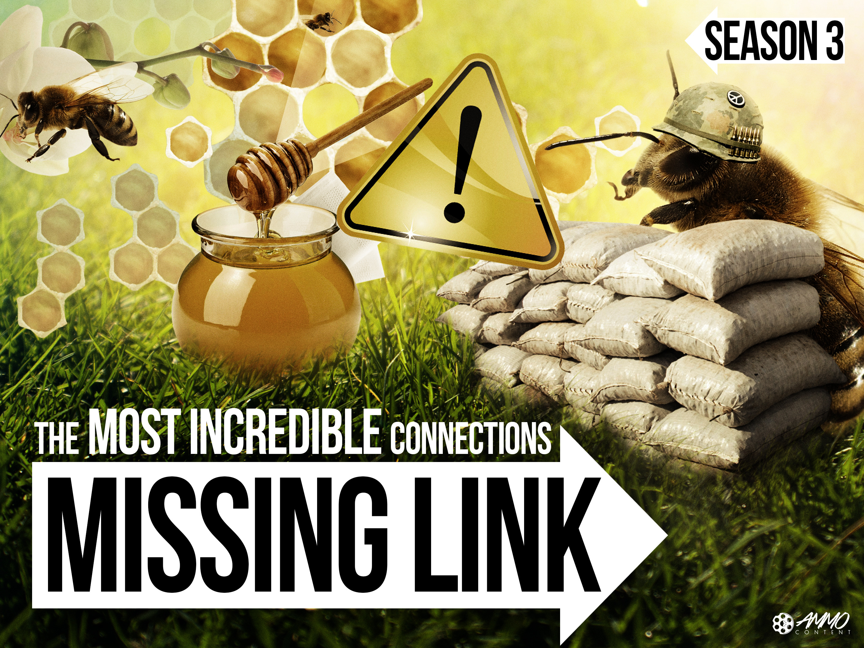 Prime Video: Missing Link