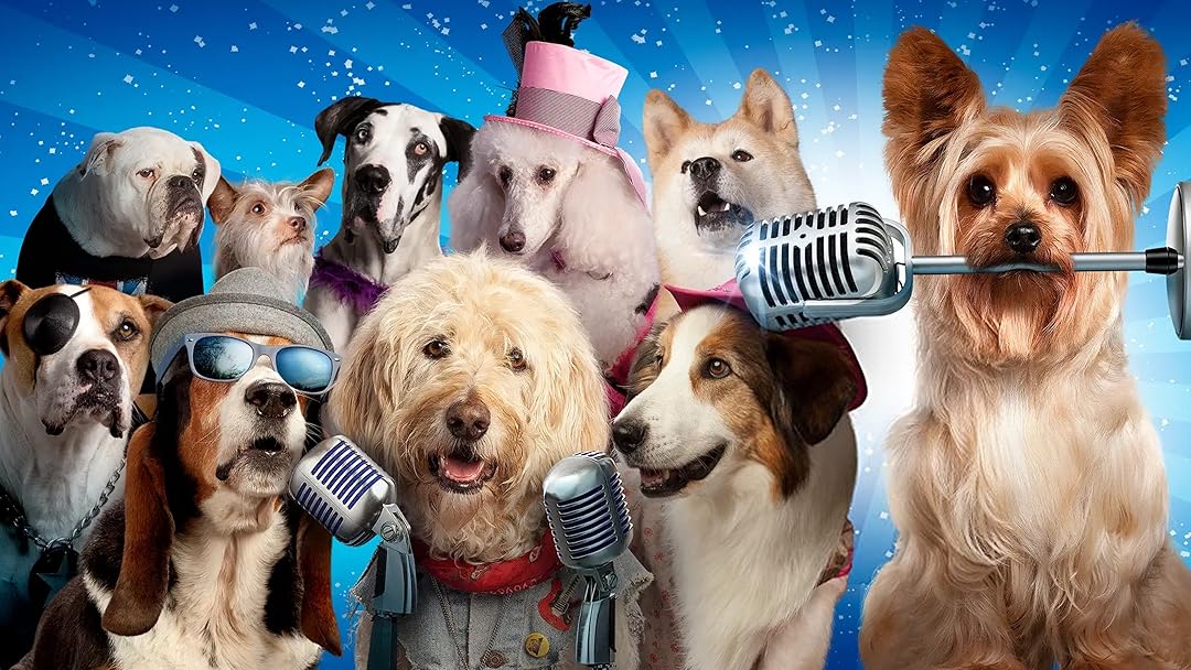 Prime Video: Perro estrella