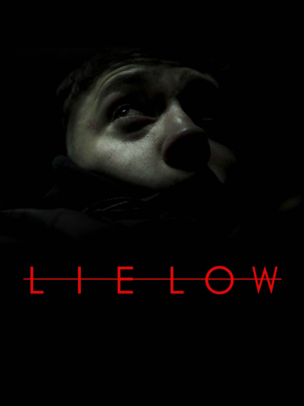 Prime Video: Lie Low