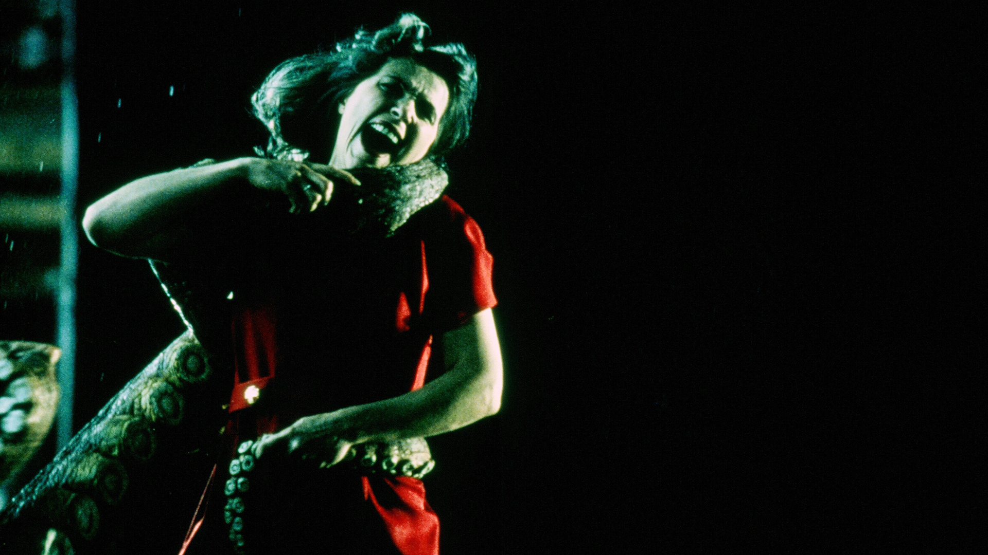 Watch Octopus 2 | Prime Video