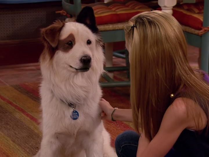What Breed Of Dog Is Stan From Dog With A Blog