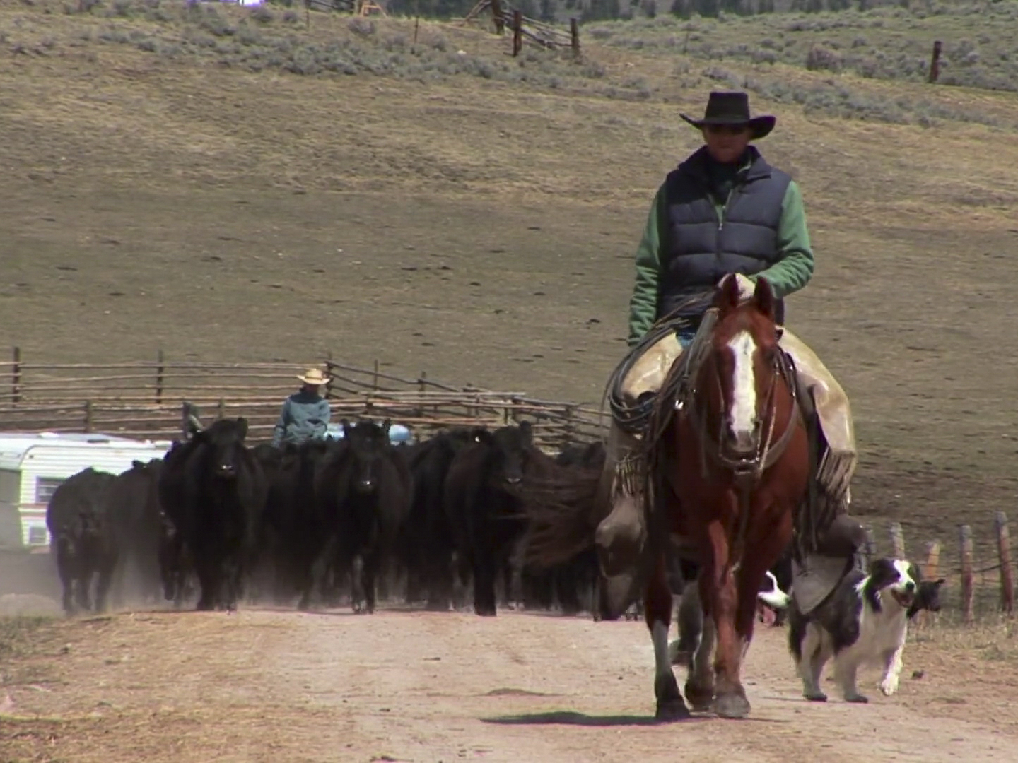 Prime Video: Last American Cowboy - Season 1