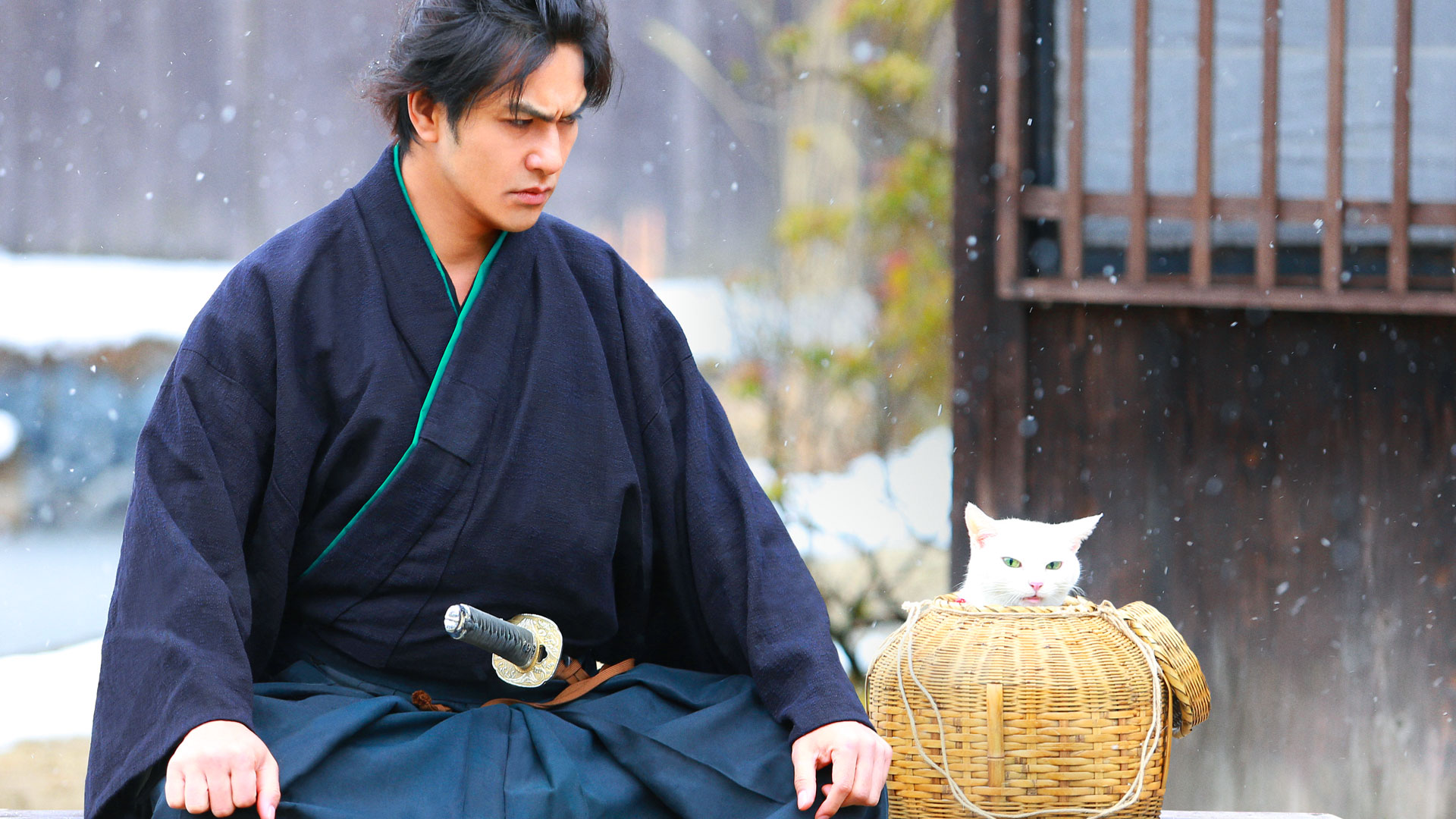 Watch Samurai Cat | Prime Video