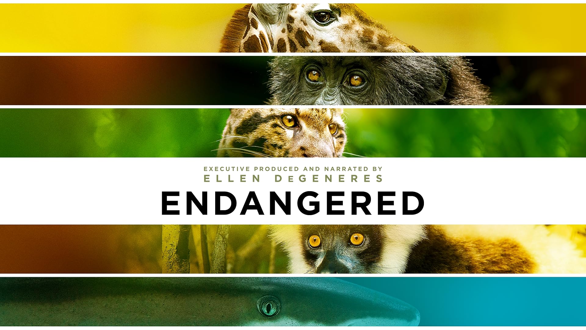 Watch The Invaders Season 1 | Prime Video