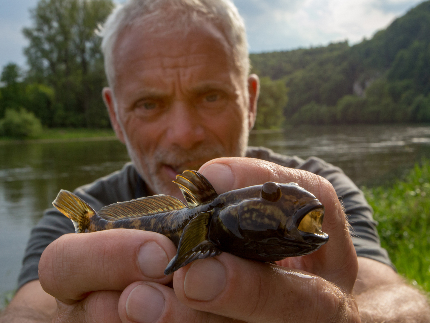 Prime Video: Jeremy Wade's Mighty Rivers - Season 1