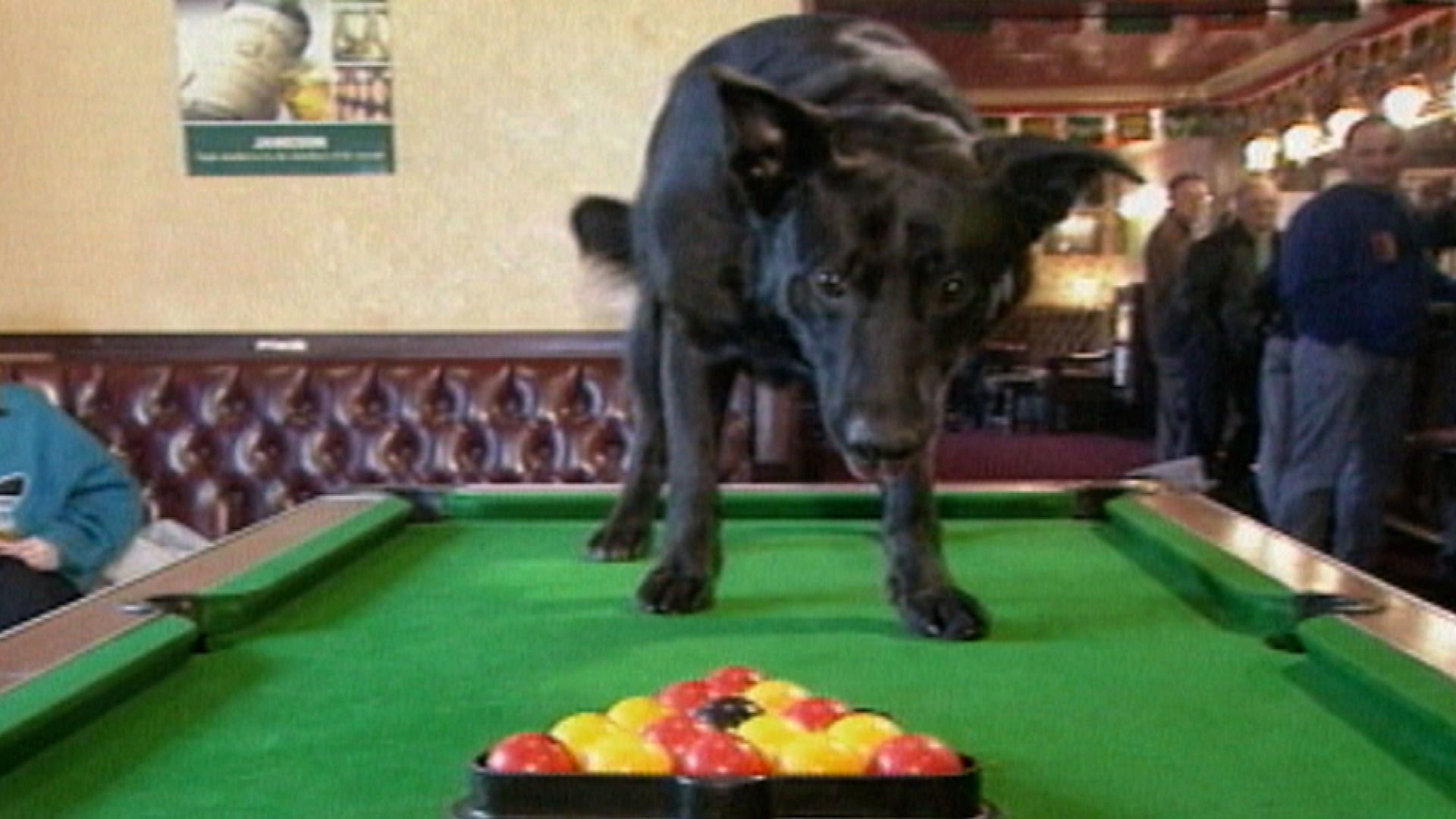 Prime Video: Whacked Out Sports: Season Three