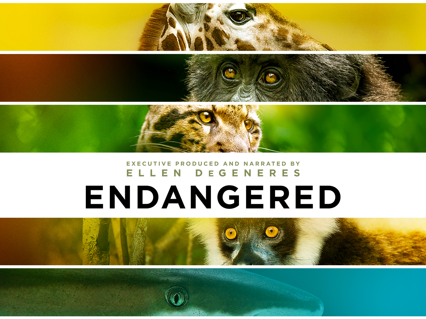 Prime Video: Endangered - Earth Day Special - Season 1