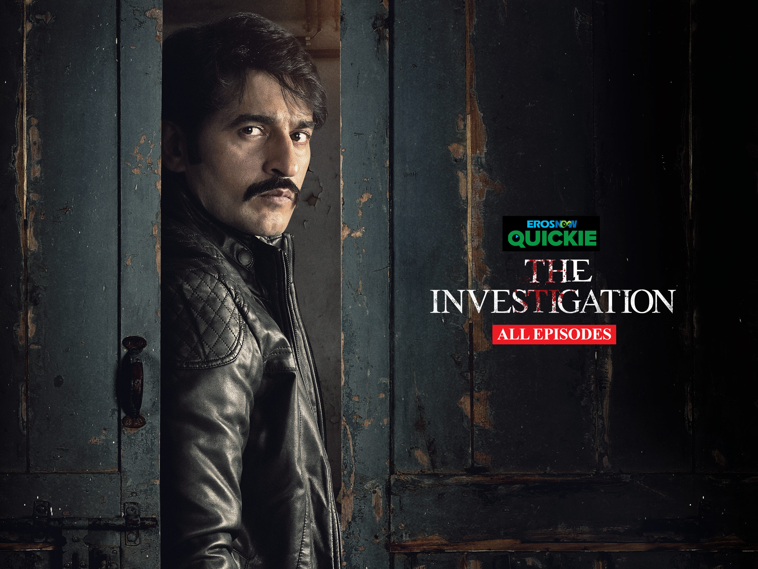 Prime Video: The Investigation Season 1