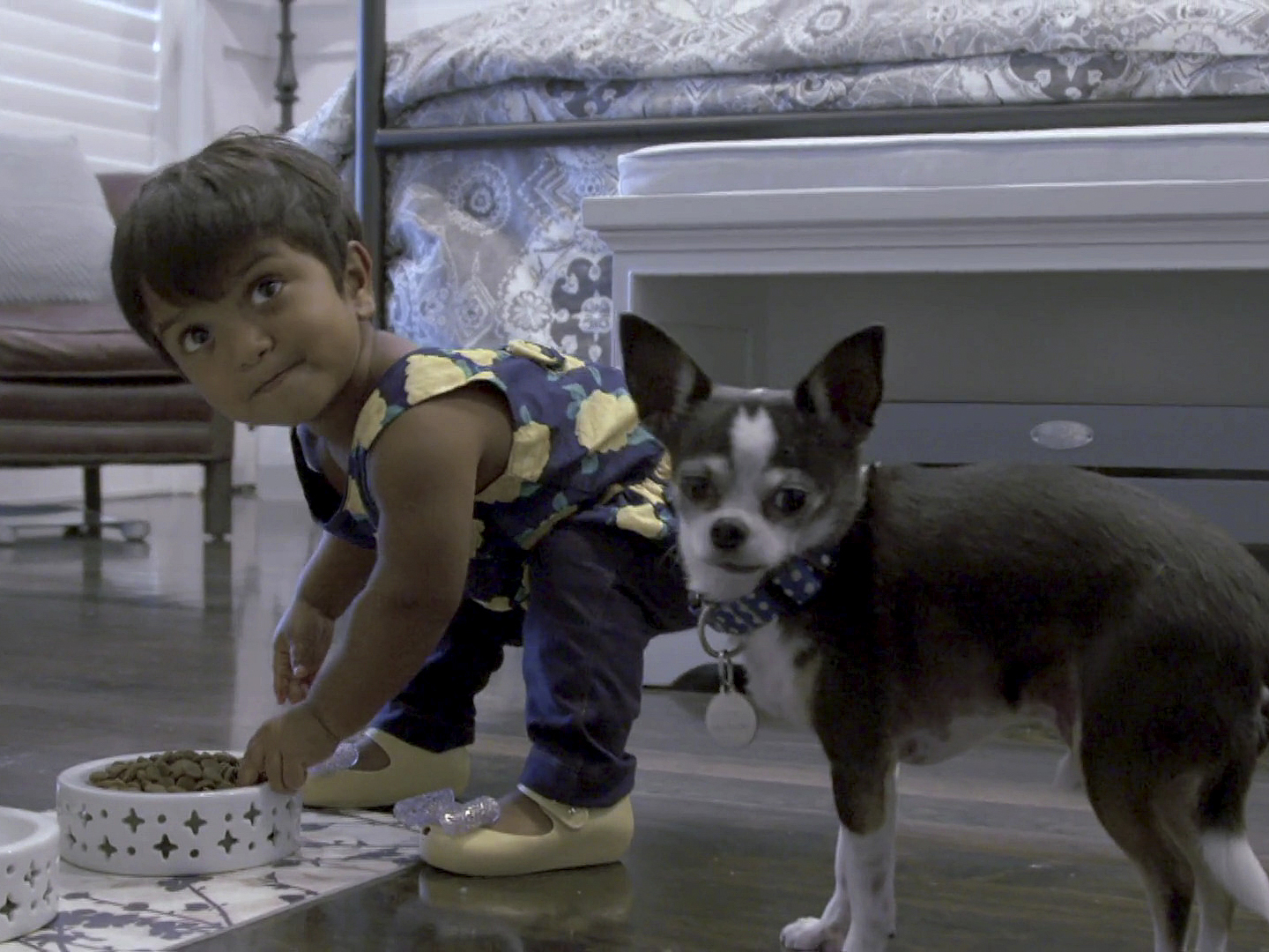 Prime Video: The Little Couple - Season 12