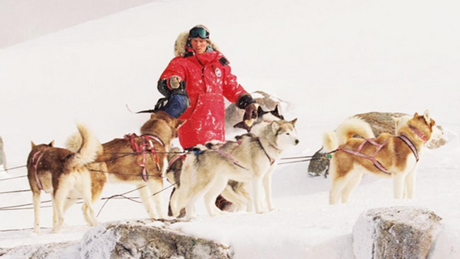 Watch Eight Below | Prime Video