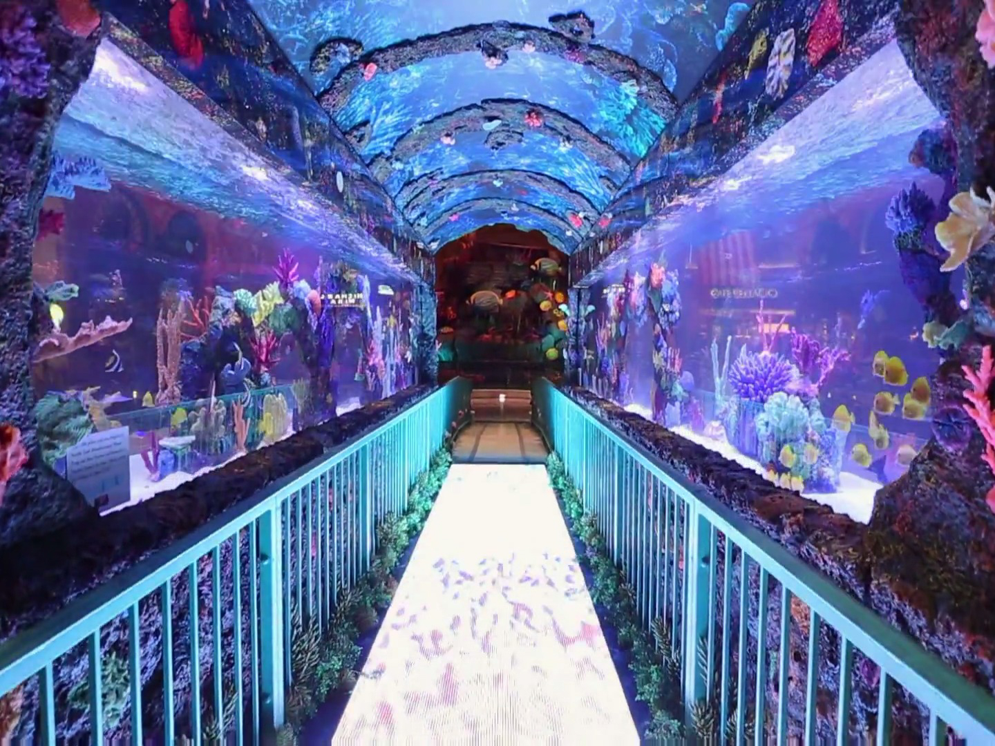 Prime Video: Tanked - Season 10