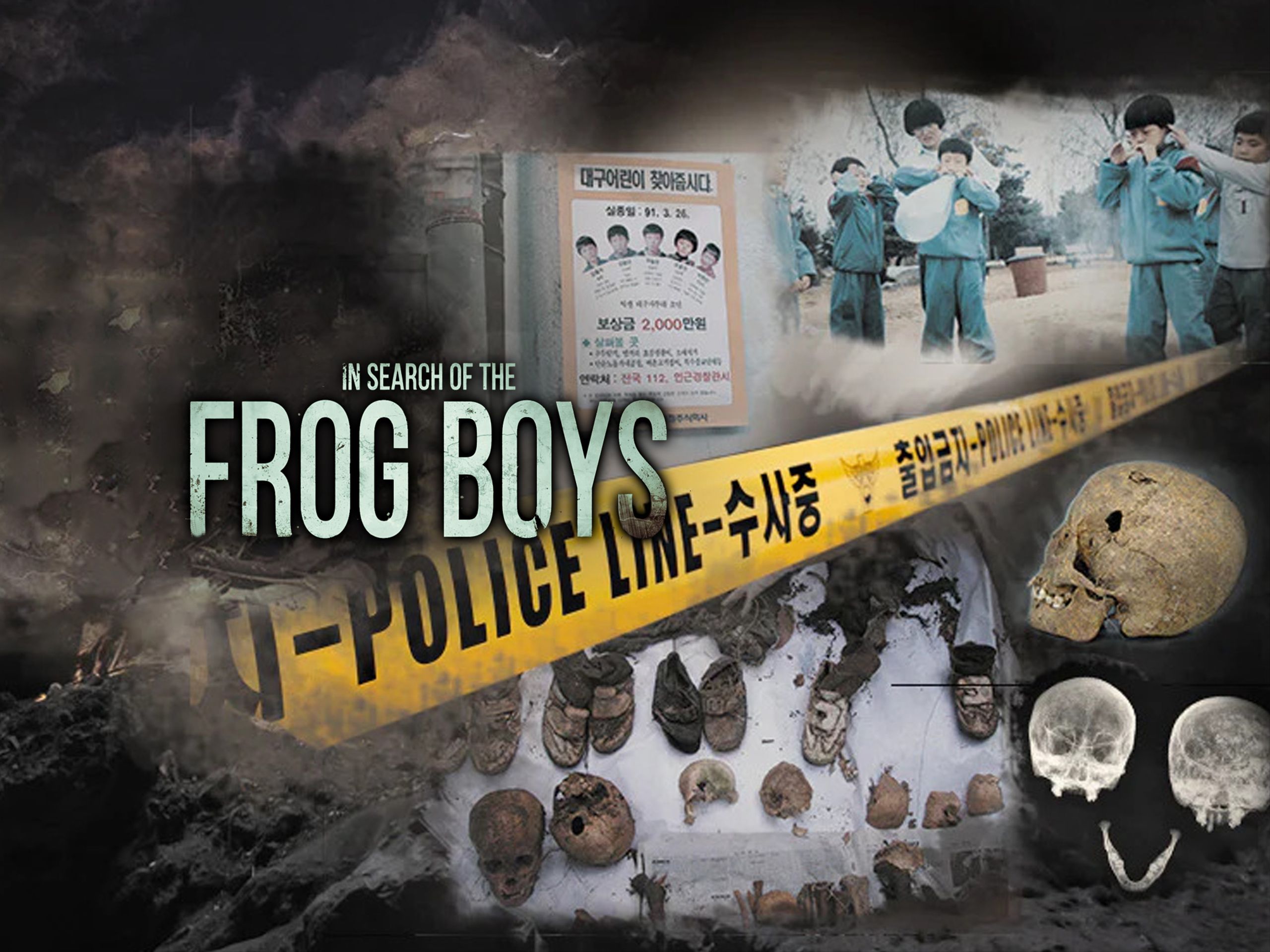Prime Video: In Search of the Frog Boys