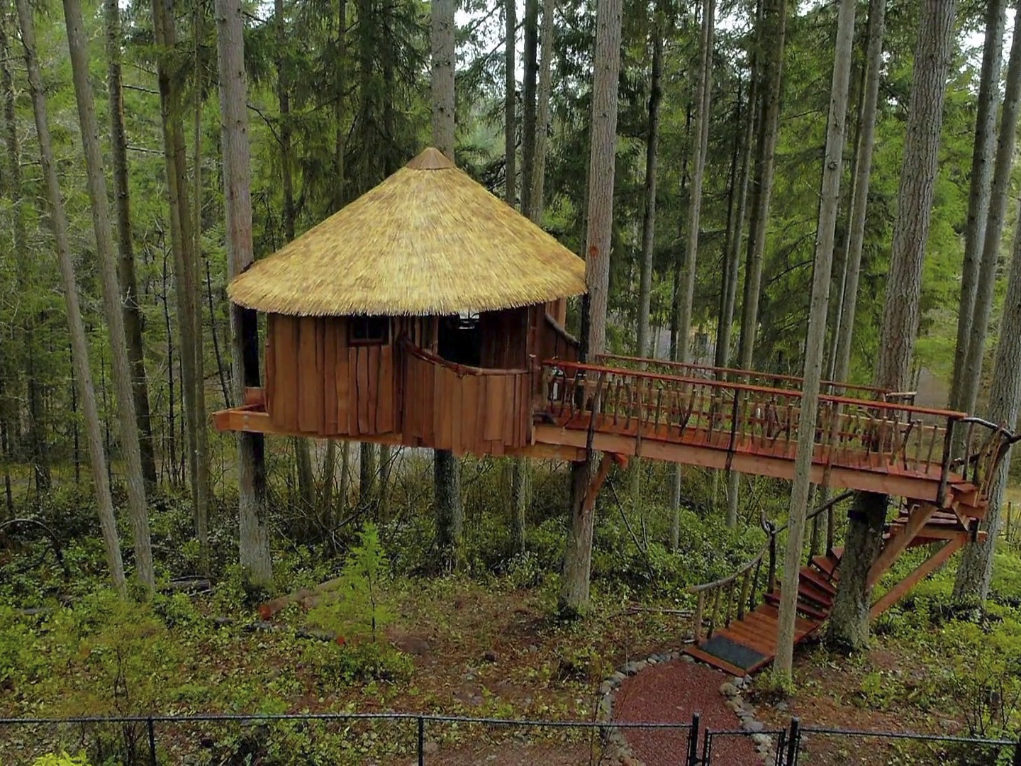 Prime Video: Treehouse Masters - Season 2