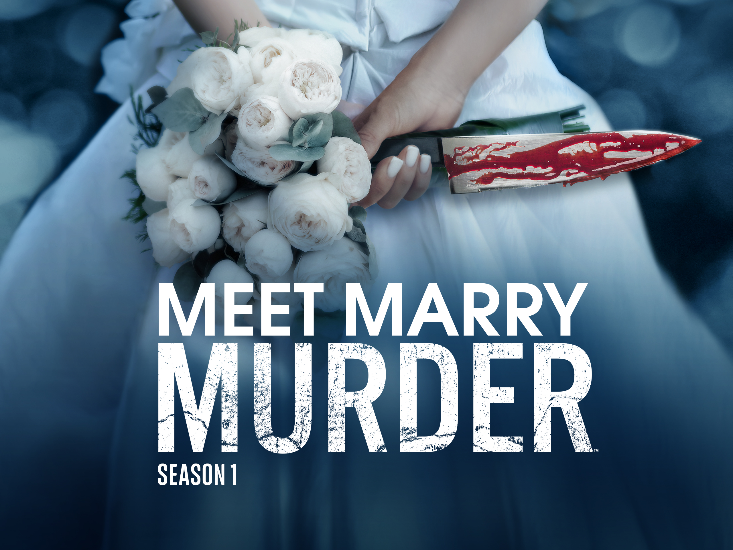 Prime Video: Meet, Marry, Murder S1