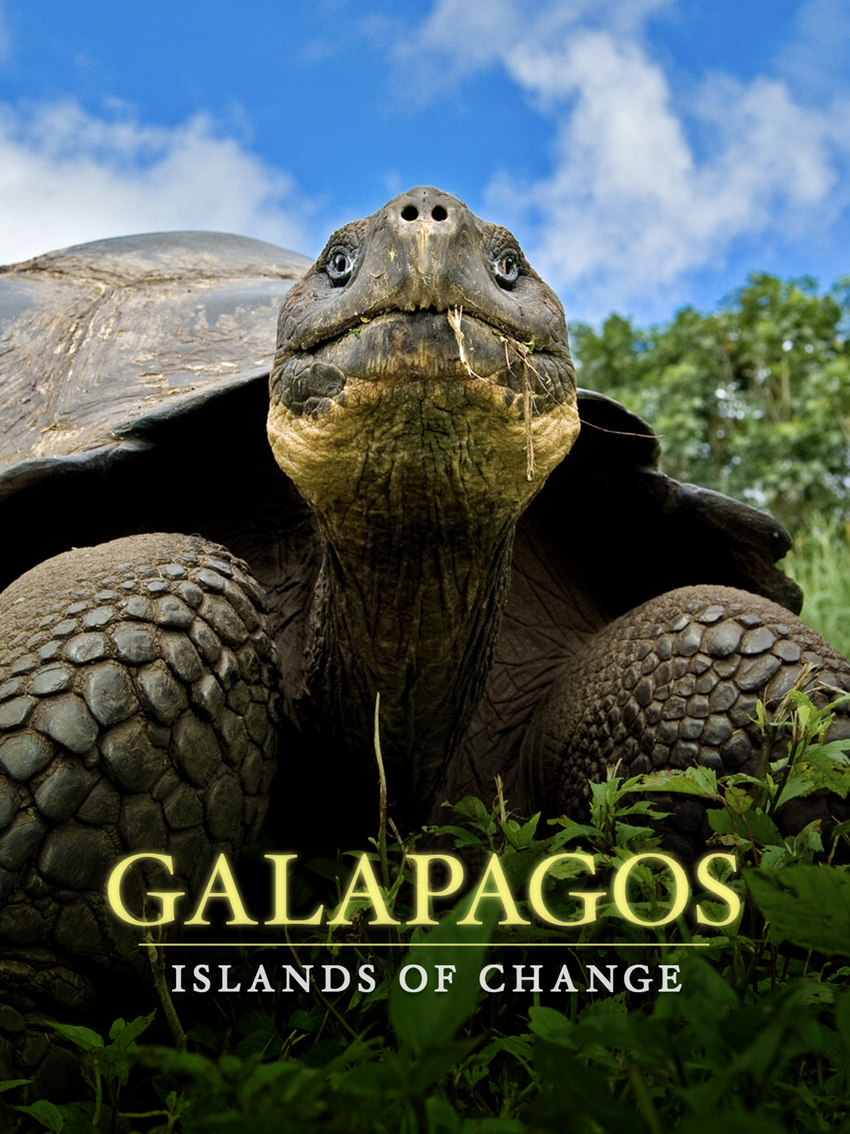 Prime Video: NATURAL WORLD: GALAPAGOS - ISLANDS OF CHANGE