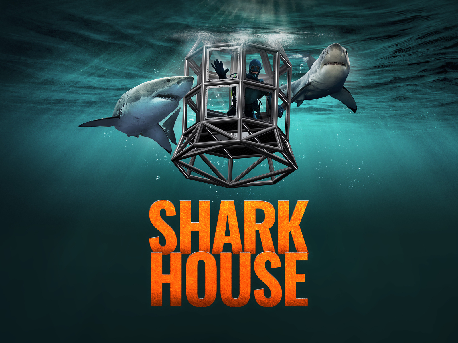 Prime Video: Shark House - Season 1