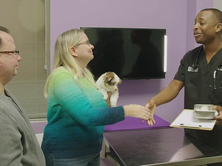 Prime Video: The Vet Life - Season 2