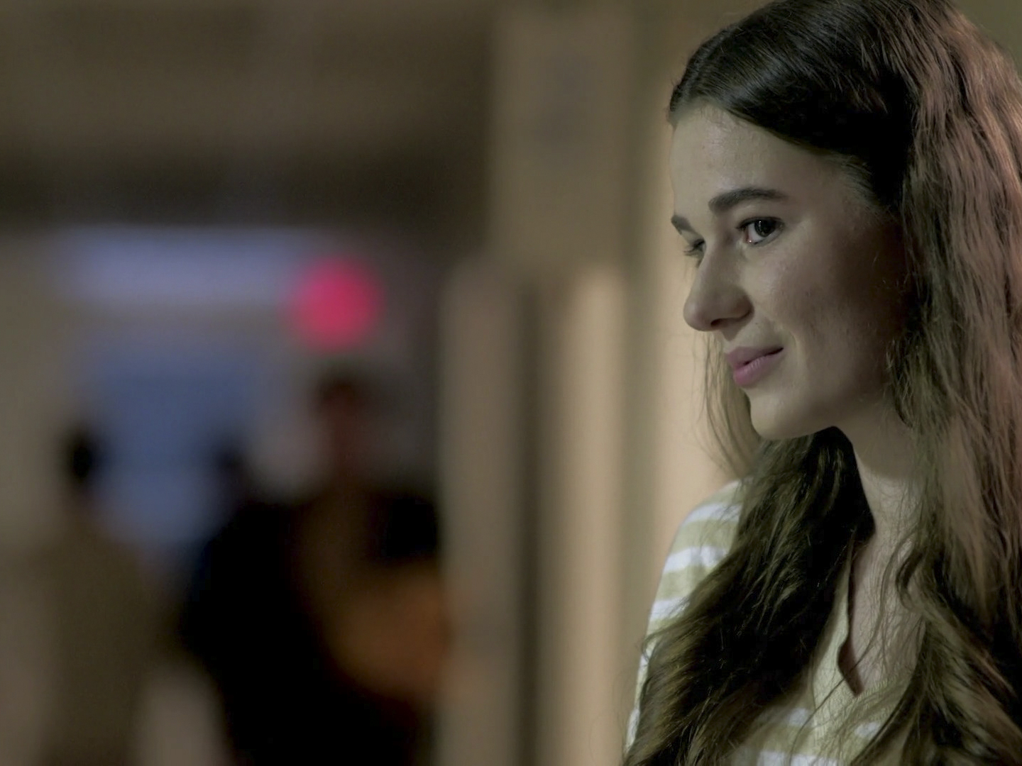 Prime Video: The Perfect Suspect - Season 1