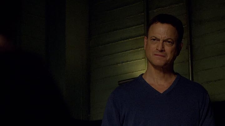 Prime Video: CSI: New York Season 6