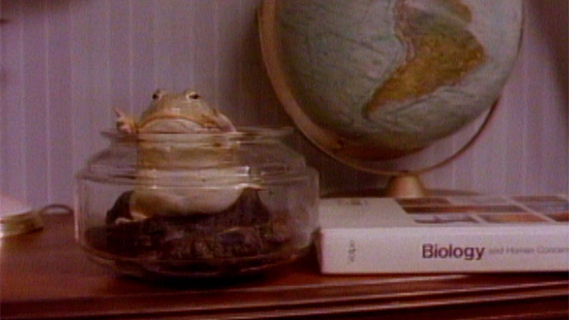 Watch Frog | Prime Video