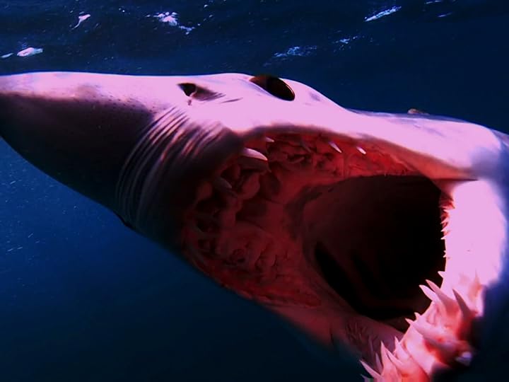 Prime Video: The Return Of The Monster Mako - Season 1