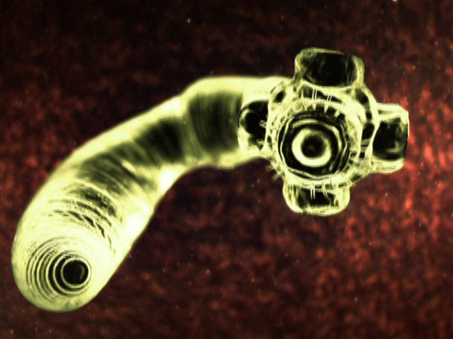 Prime Video: Monsters Inside Me - Season 2