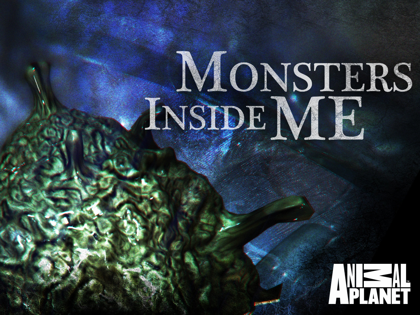 Monsters Inside Me Lurkers