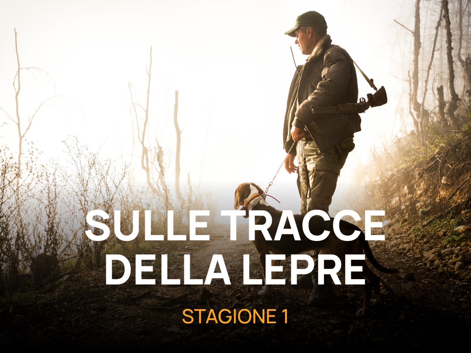 Prime Video: Sulle tracce della lepre