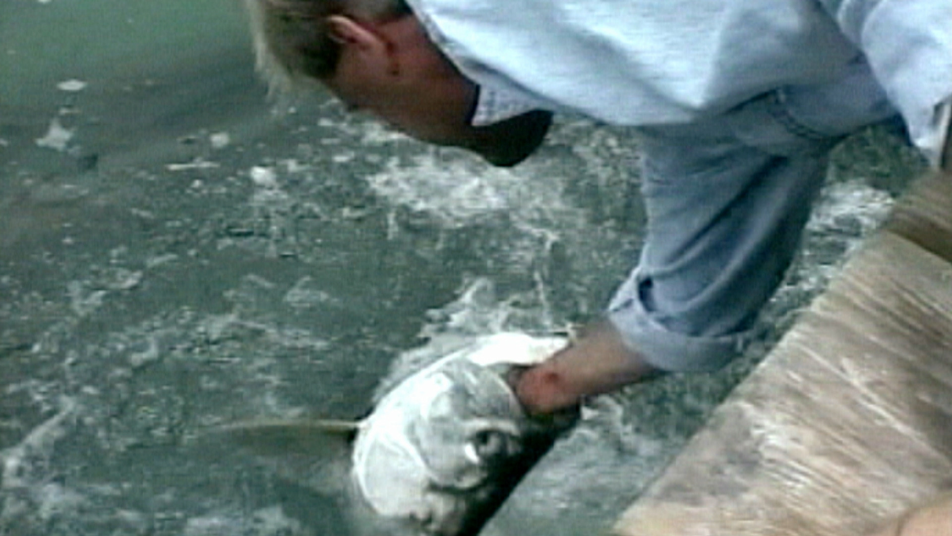 Prime Video: Whacked Out Sports: Season Seven