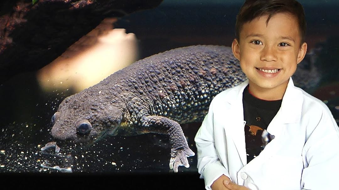 Watch EvanTubeHD | Prime Video