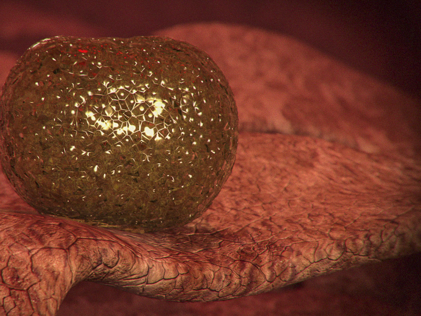 Prime Video: Monsters Inside Me - Season 5