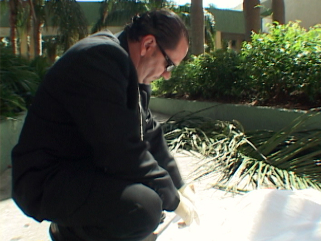 Prime Video: The First 48 - Season 2