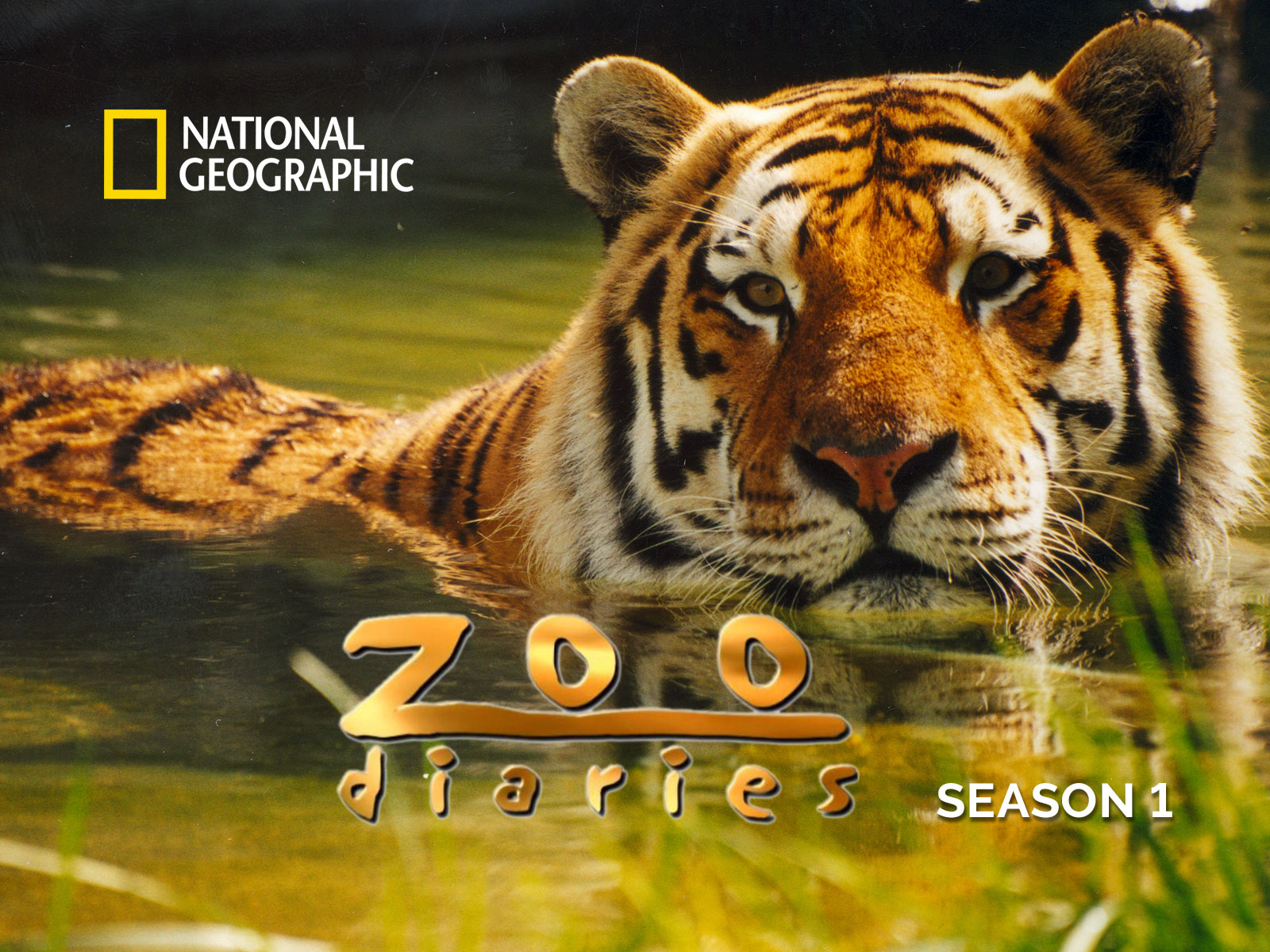 Prime Video: Zoo Diaries - Season 1