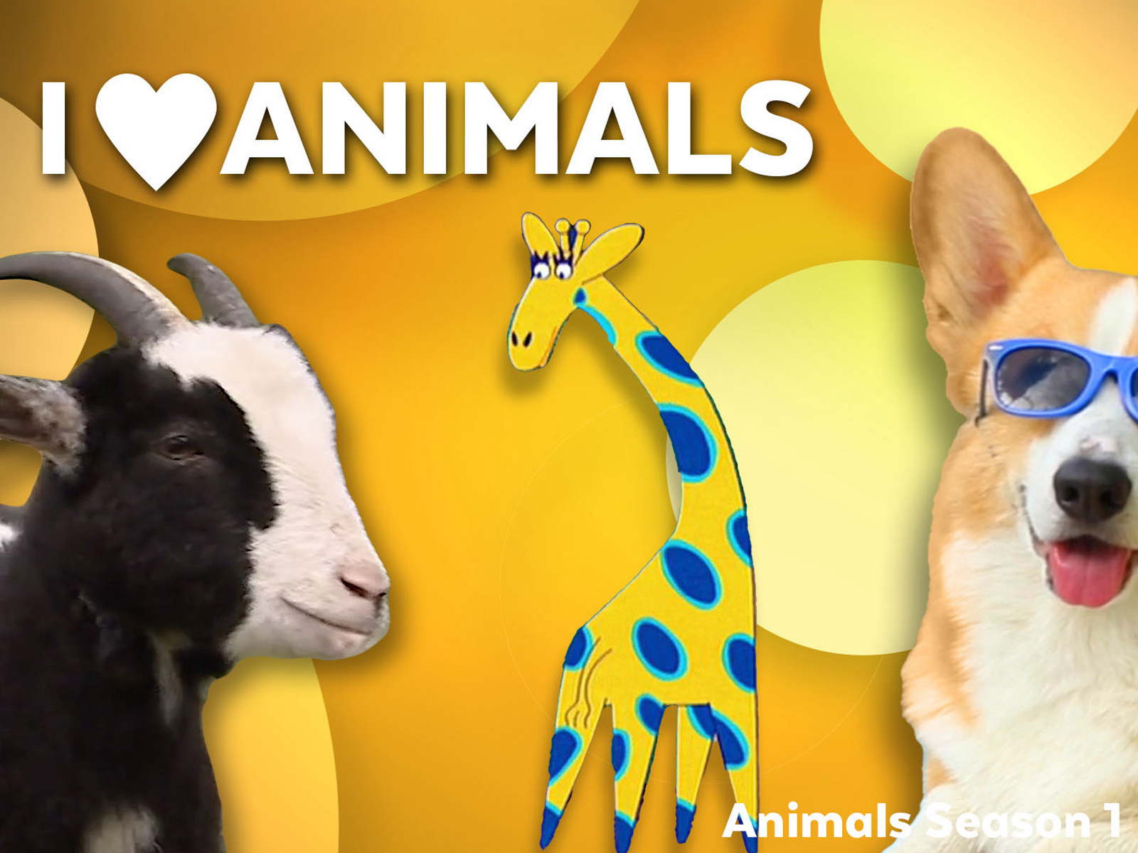 Prime Video: I (heart) Animals - Season 1