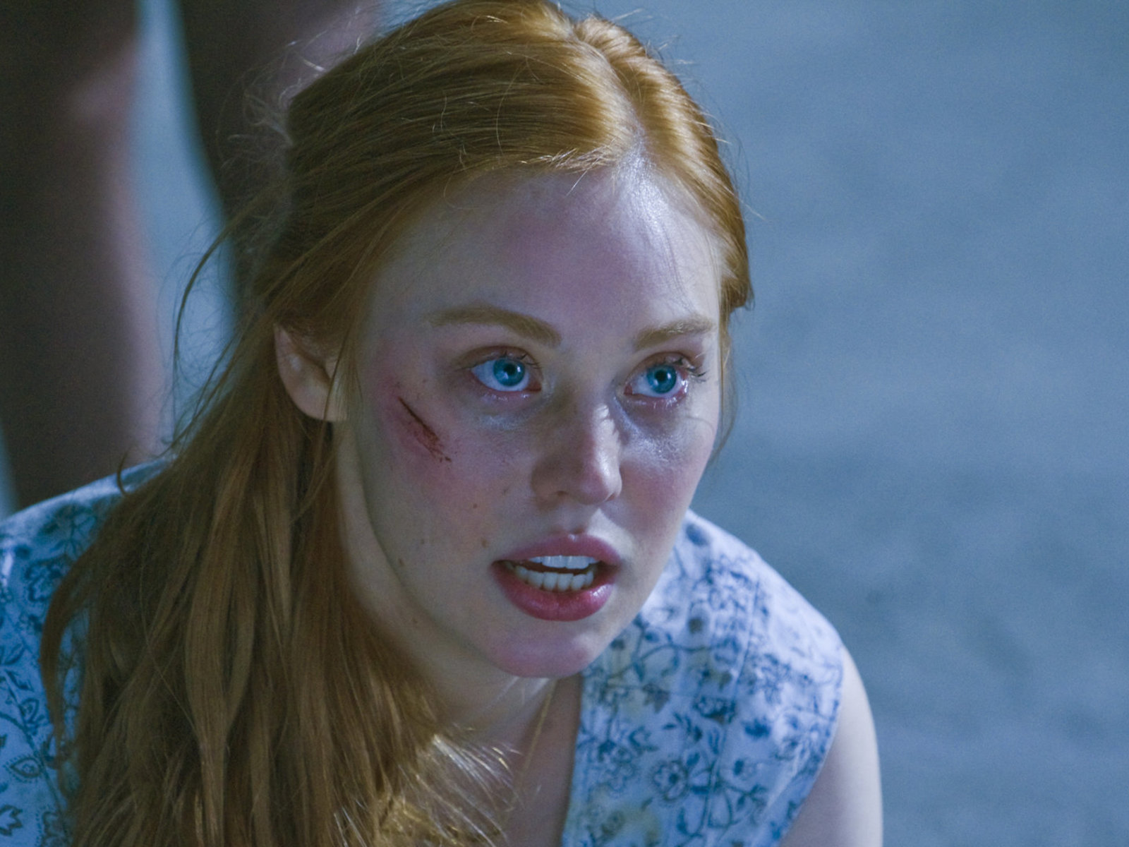 Prime Video: True Blood-Season 1