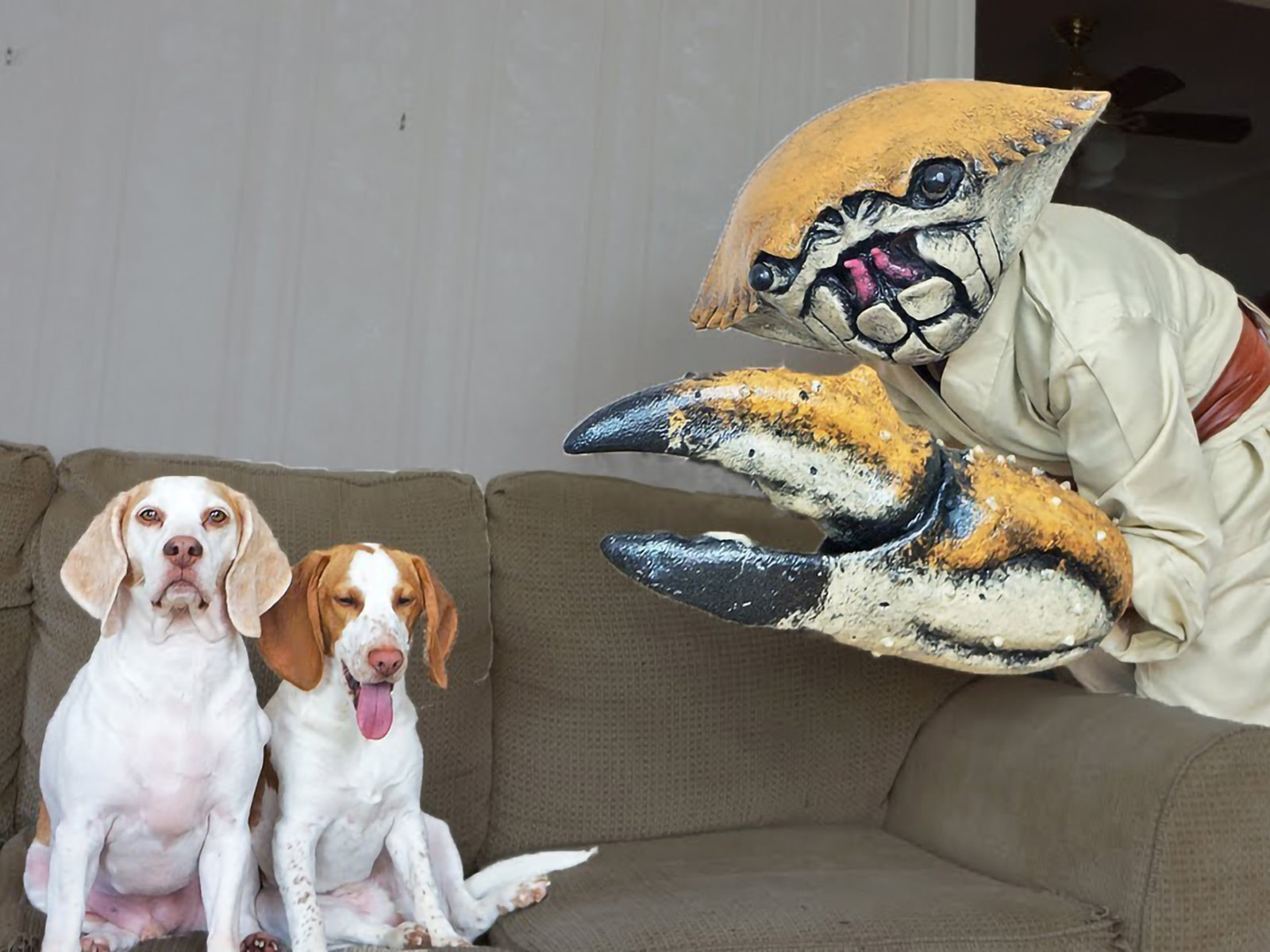 Prime Video: Maymo Gets Pranked