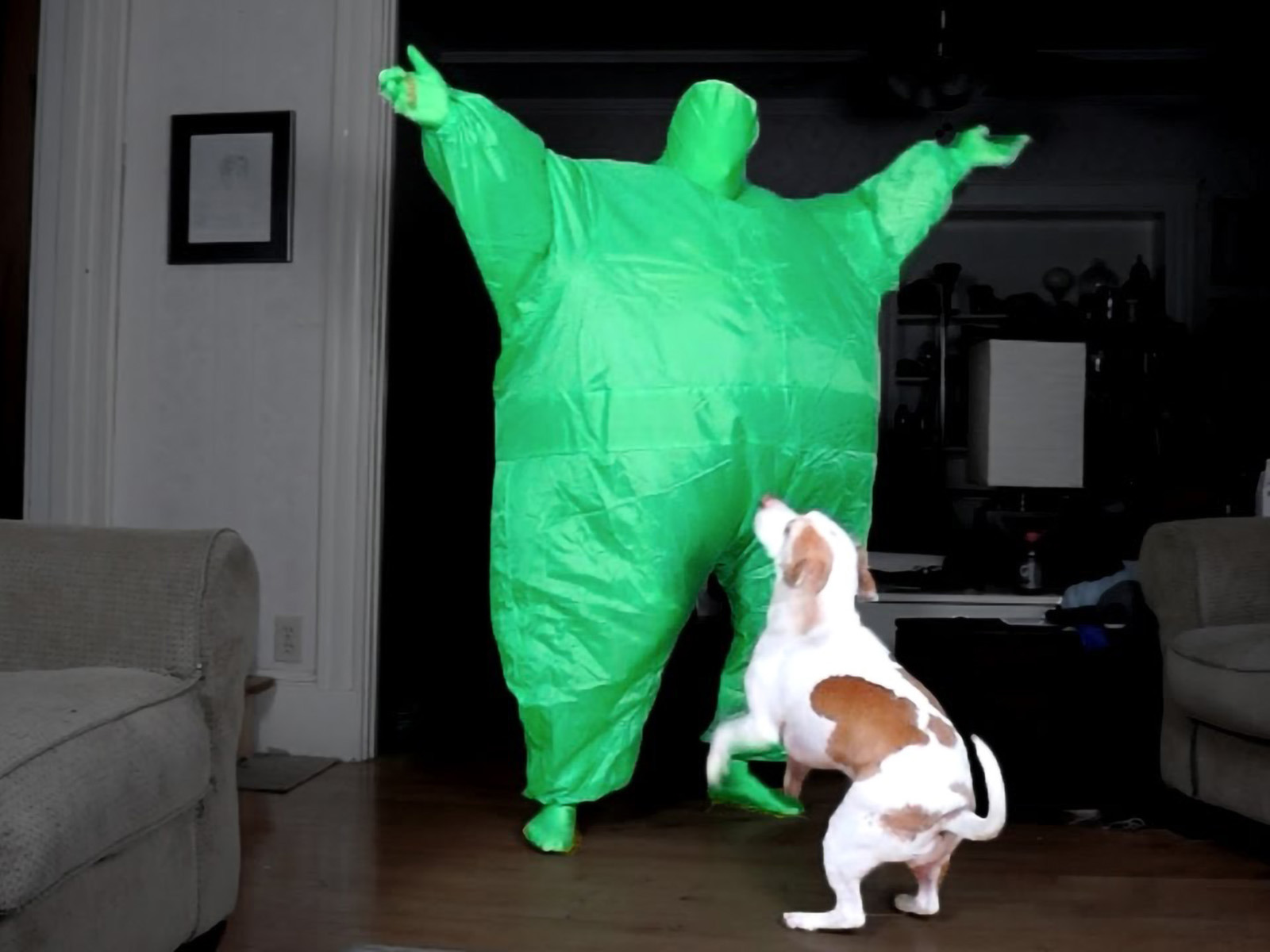 Prime Video: Maymo Gets Pranked