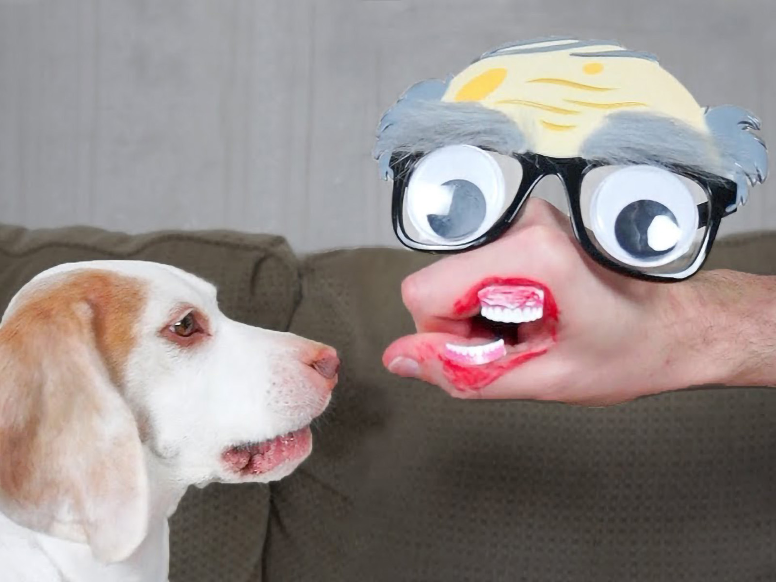 Prime Video: Maymo Gets Pranked