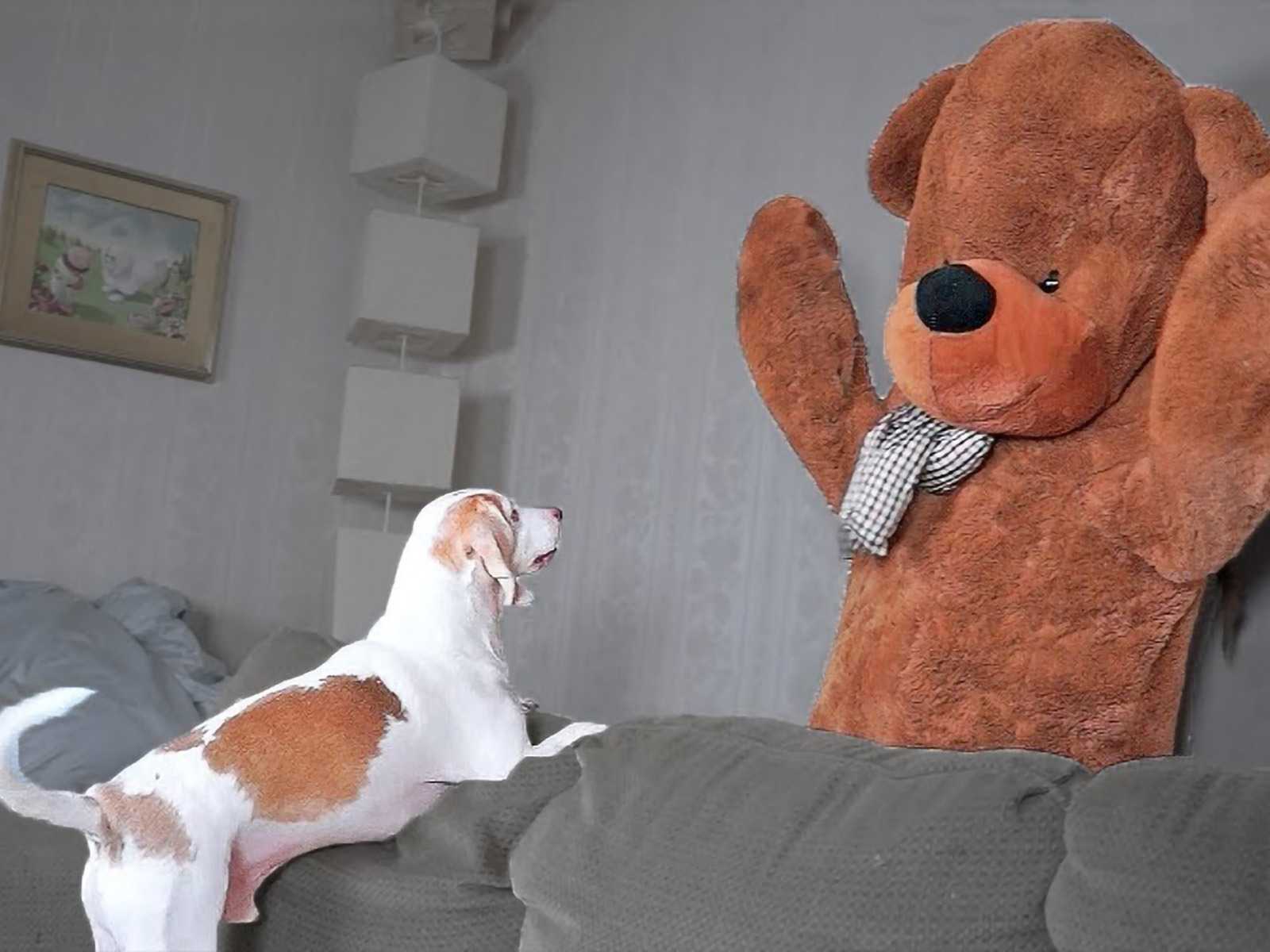 Prime Video: Maymo Gets Pranked