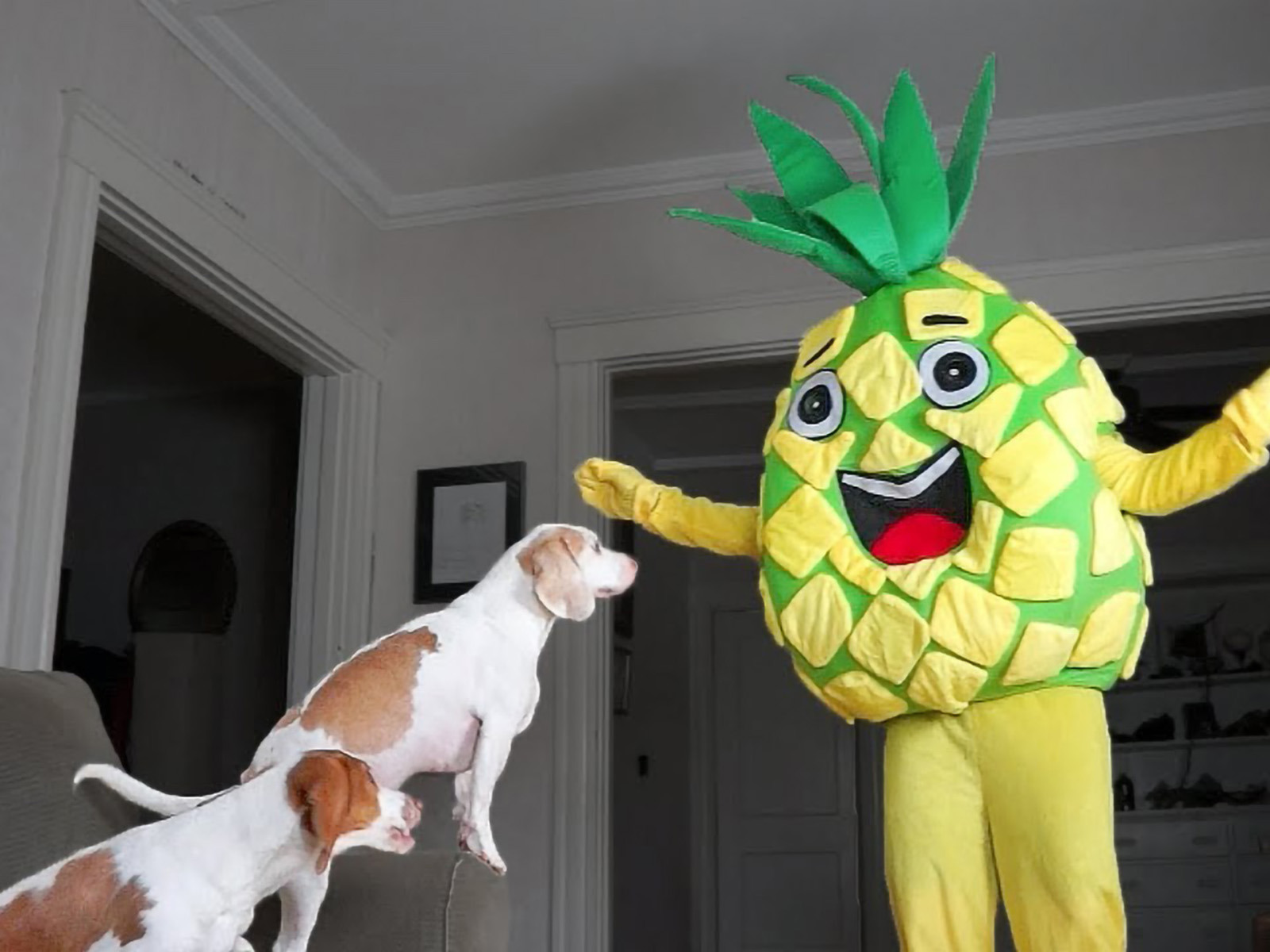 Prime Video: Maymo Gets Pranked