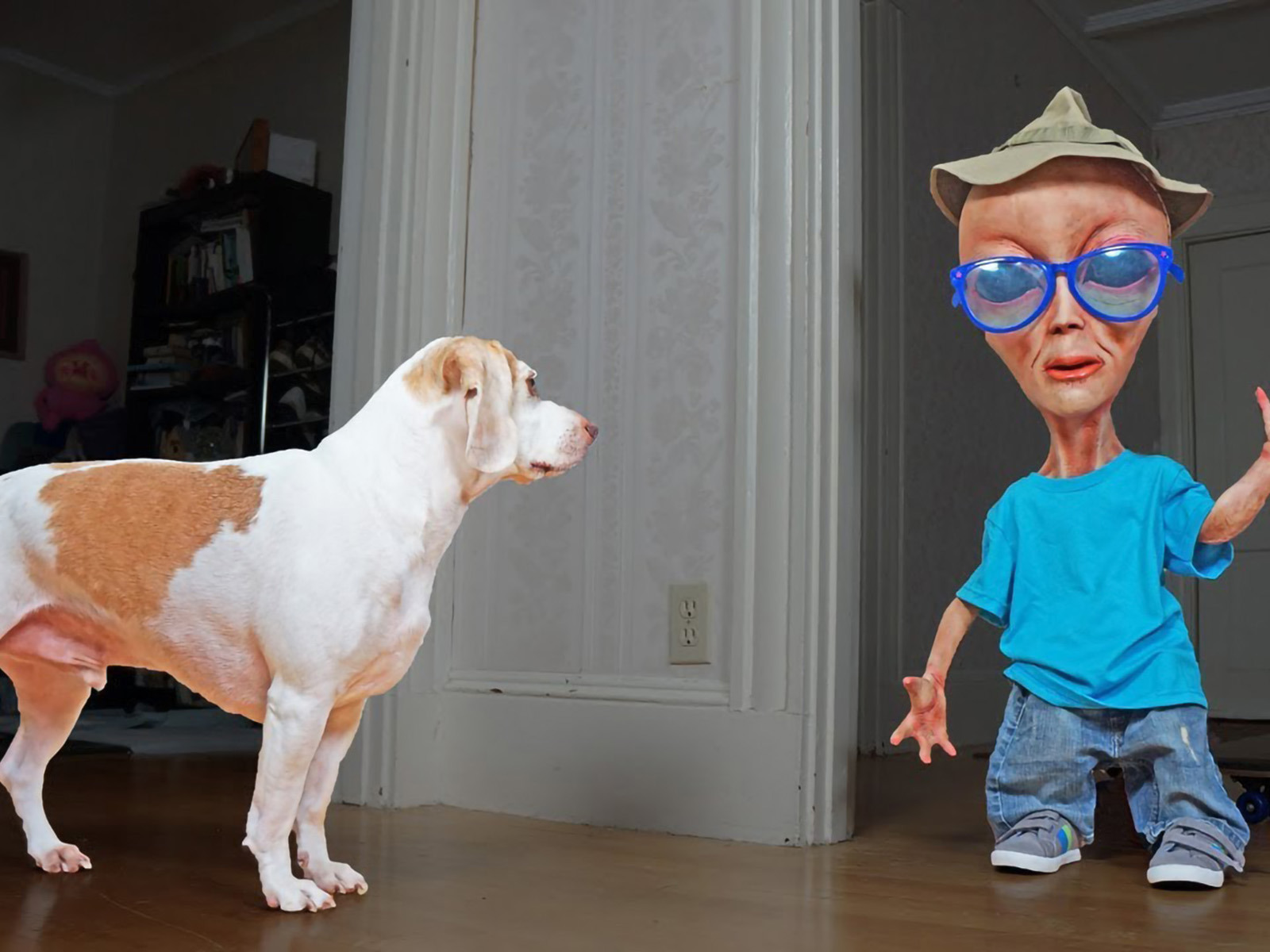 Prime Video: Maymo Gets Pranked