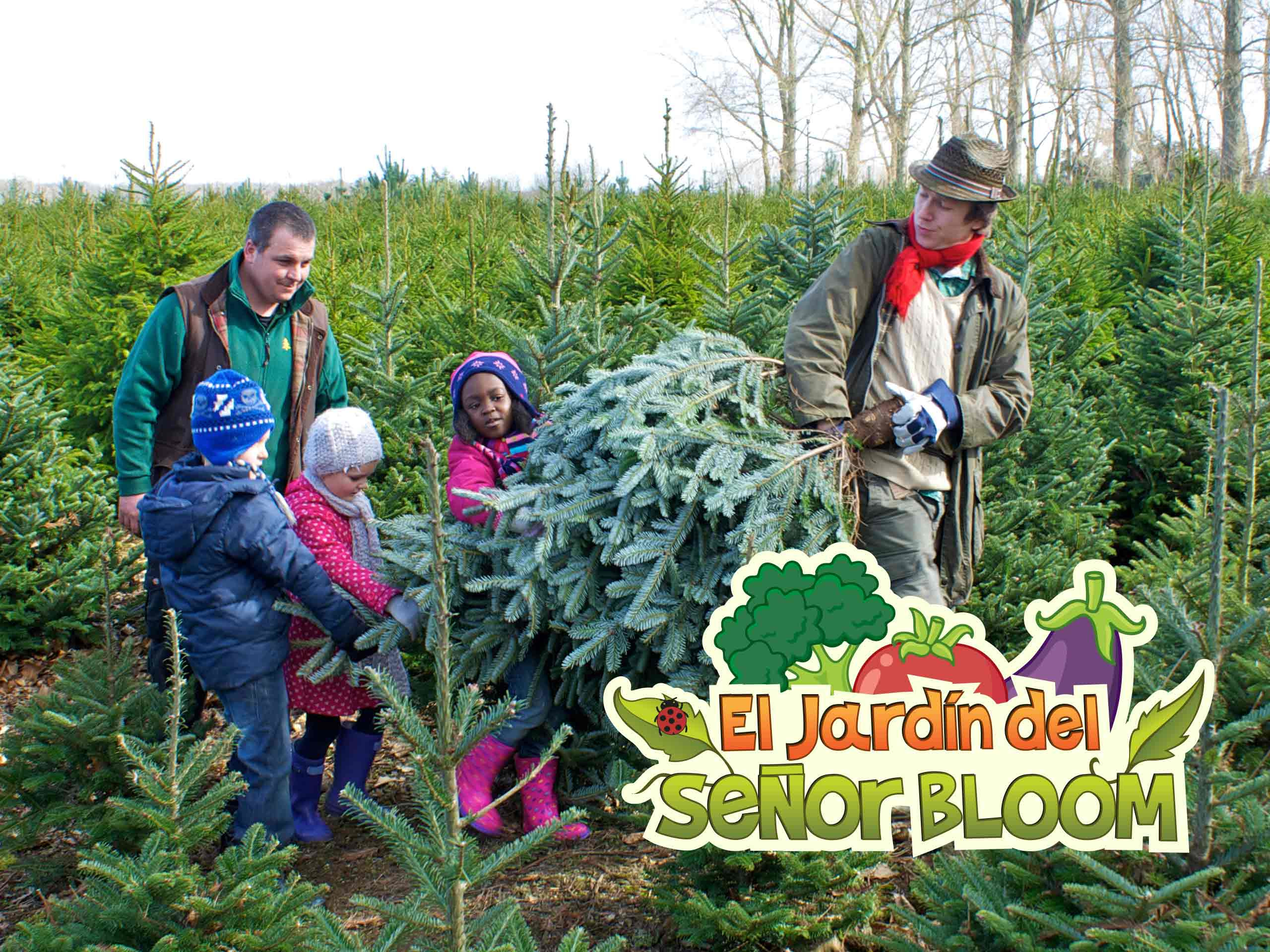 Prime Video: Mr Bloom's Nursery Vol. 6